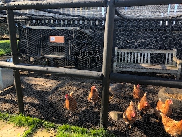 Curly Tails - Reusing Plywood Offcuts - On The Level